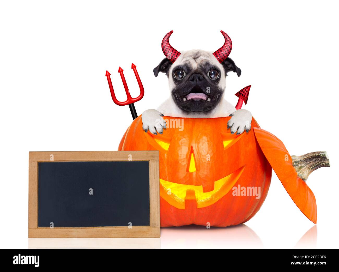 Happy halloween poster pumpkin Cut Out Stock Images & Pictures - Alamy