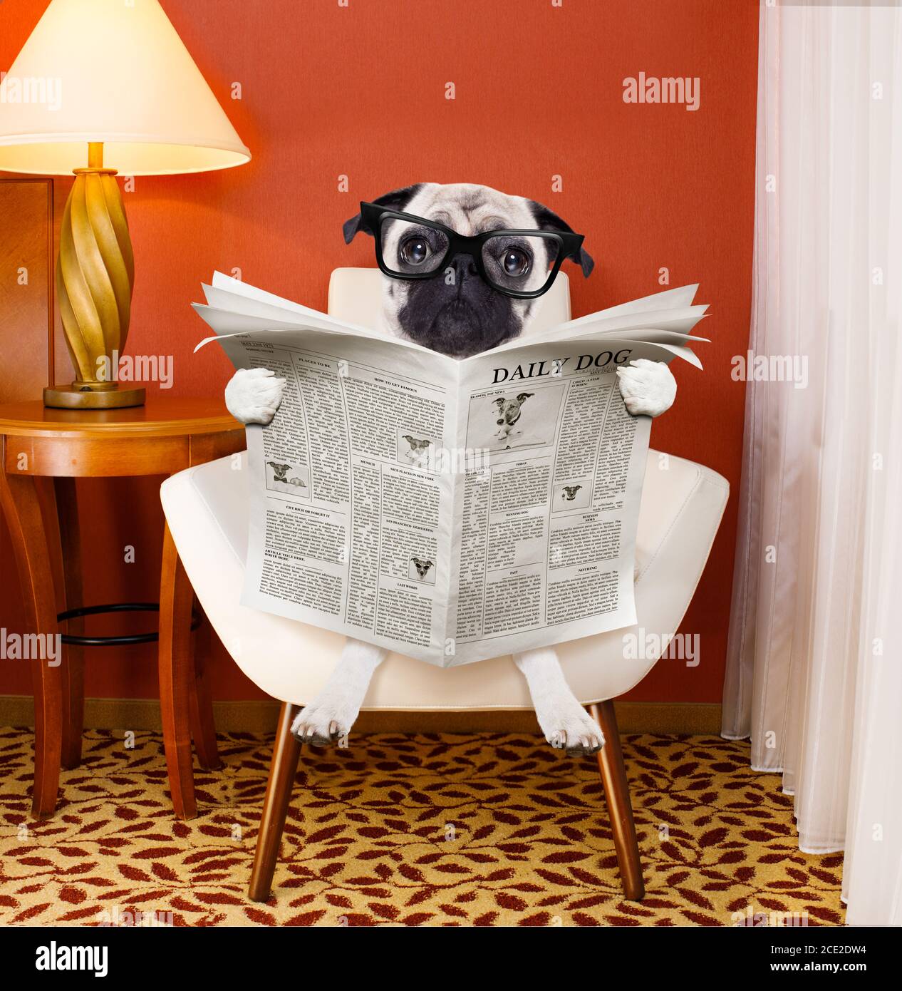 dog reading newspaper at home Stock Photo - Alamy