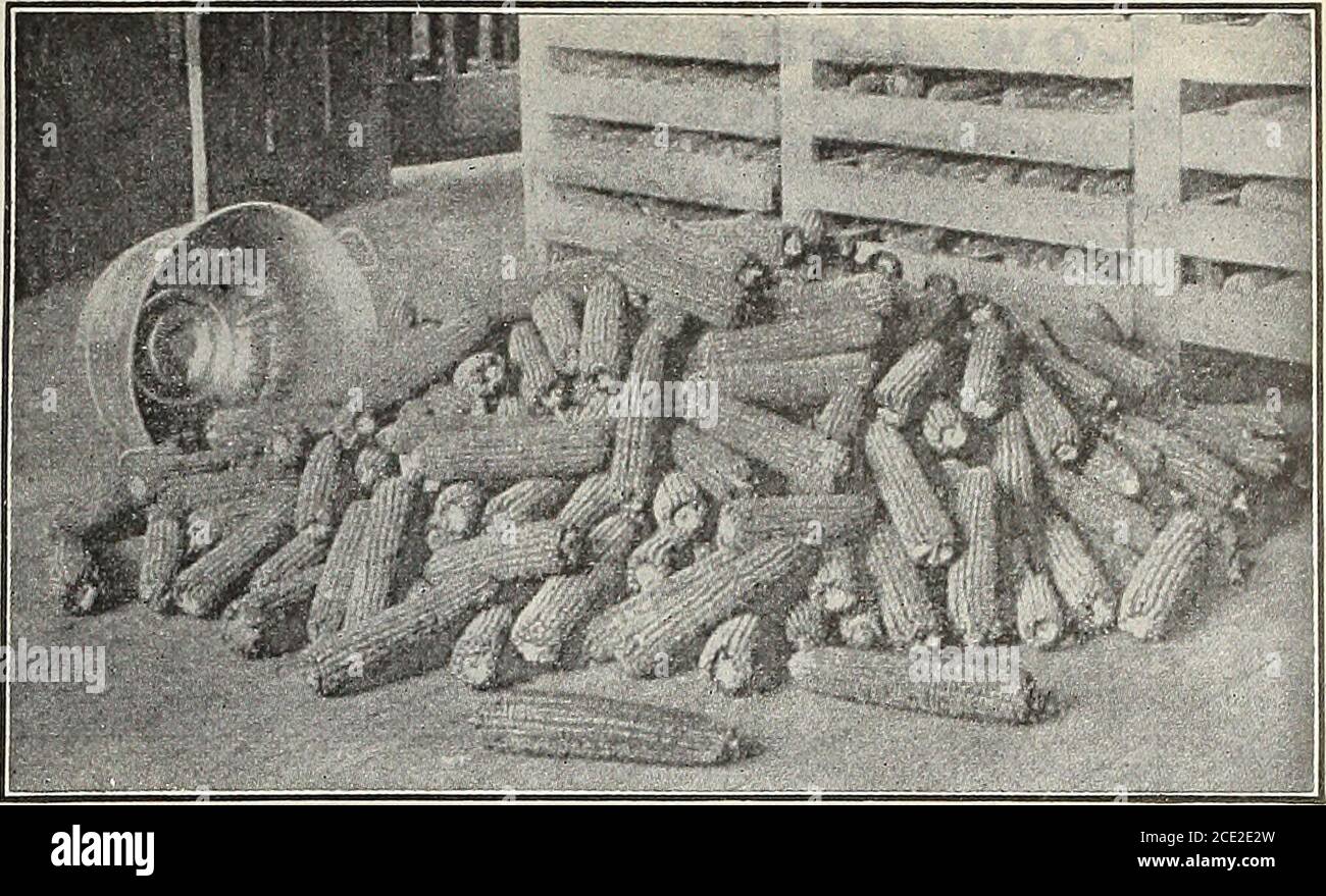 Bus 100 years hi-res stock photography and images - Alamy