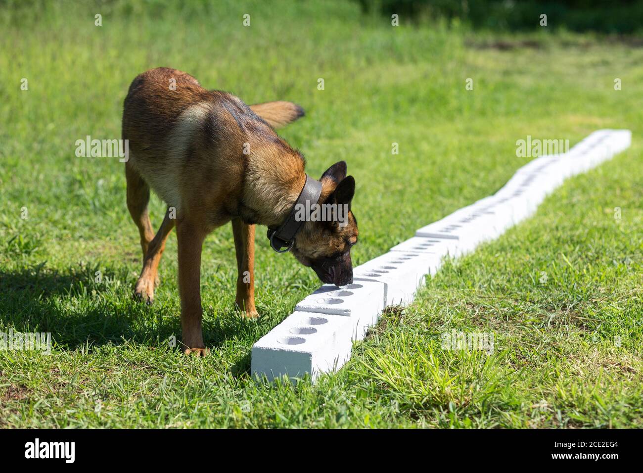 Border In A Box Training High Resolution Stock Photography and Images ...