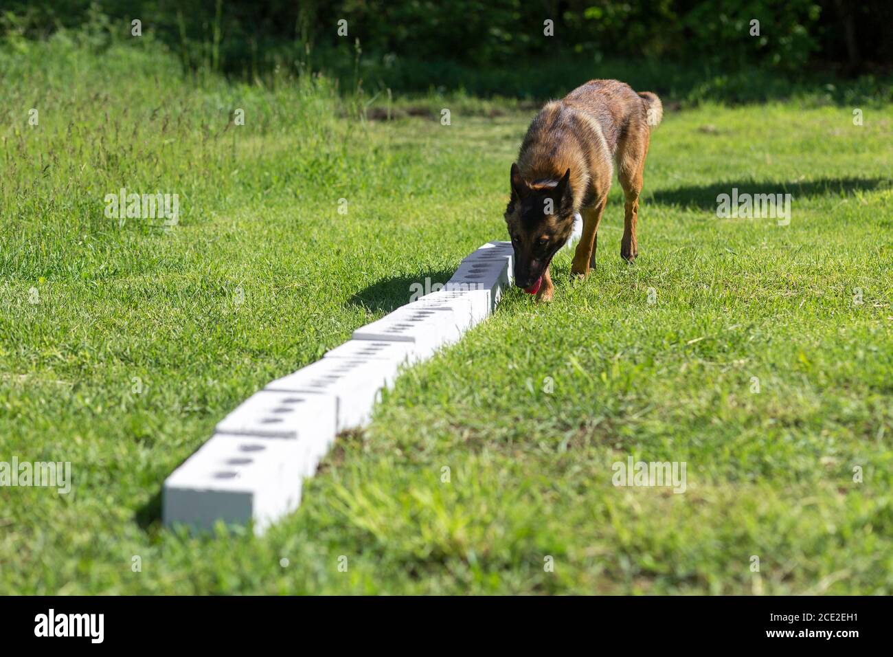 Border In A Box Training High Resolution Stock Photography and Images ...