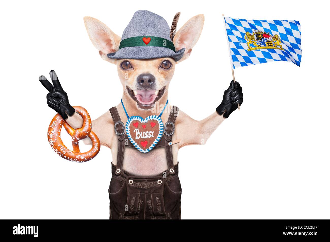 bavarian beer dog Stock Photo - Alamy