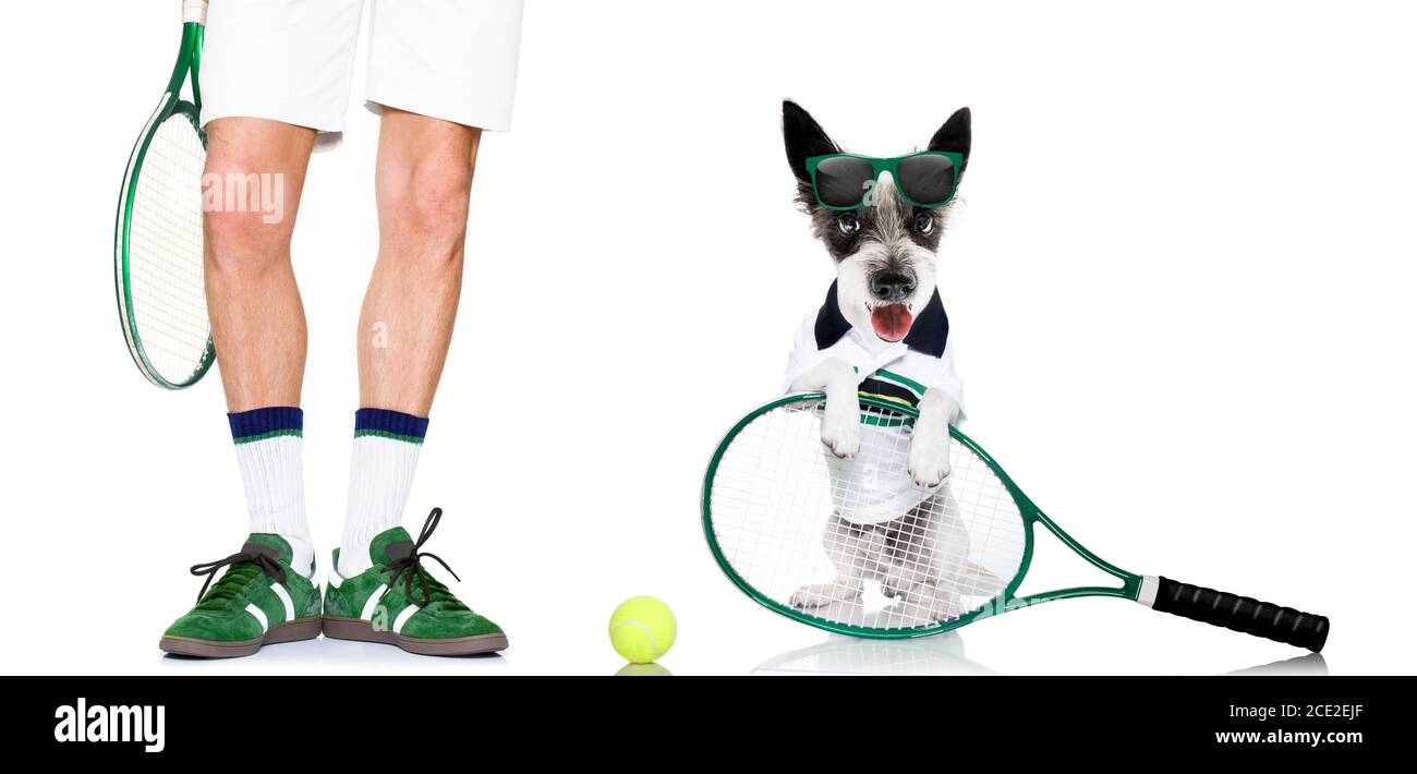tennis dog with owner and ball Stock Photo - Alamy