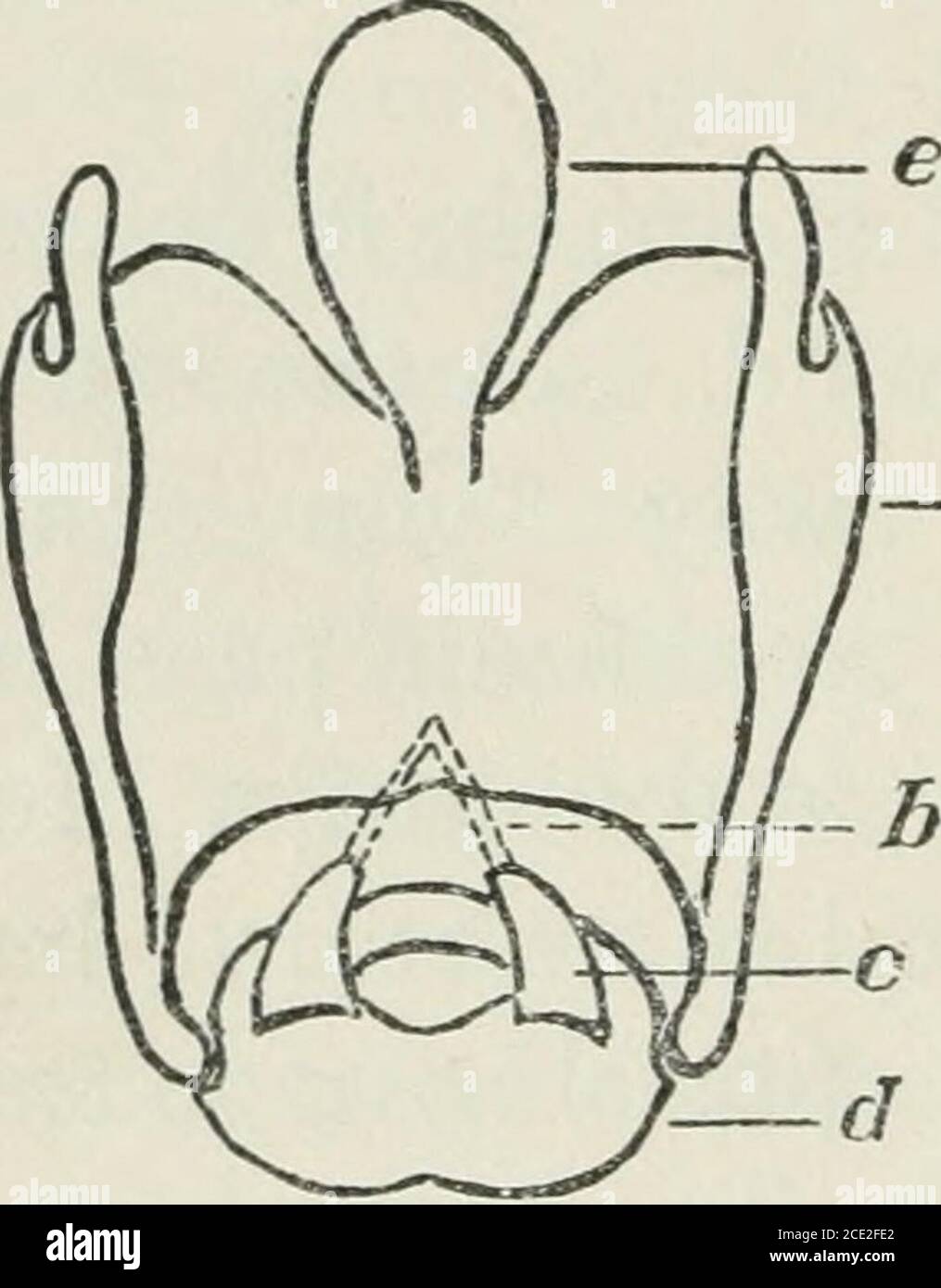 Hard pressed person hi-res stock photography and images - Alamy