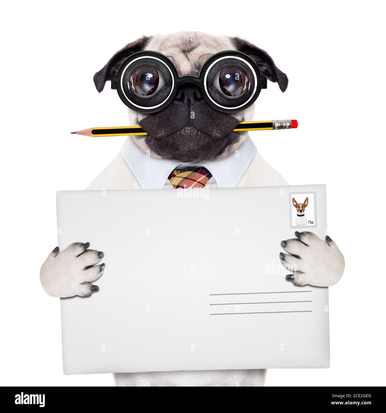 mail delivery post dog Stock Photo - Alamy