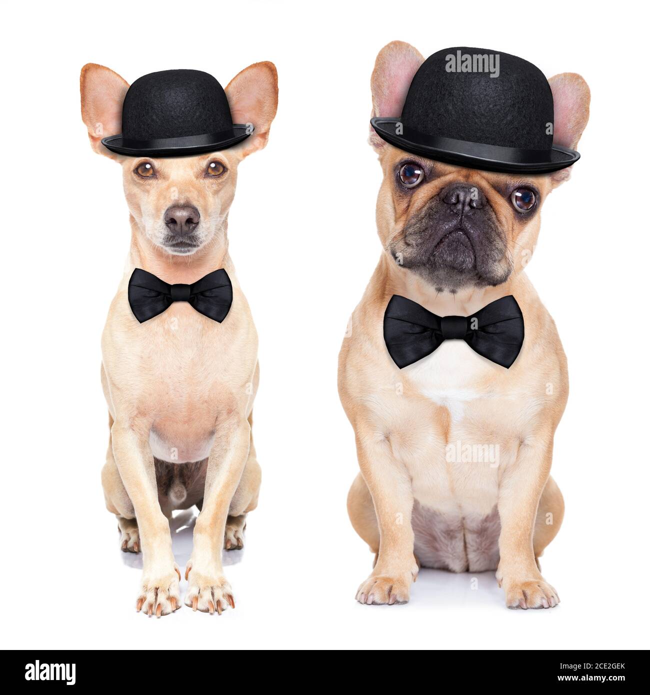 Joke funny entertainment Cut Out Stock Images & Pictures - Alamy