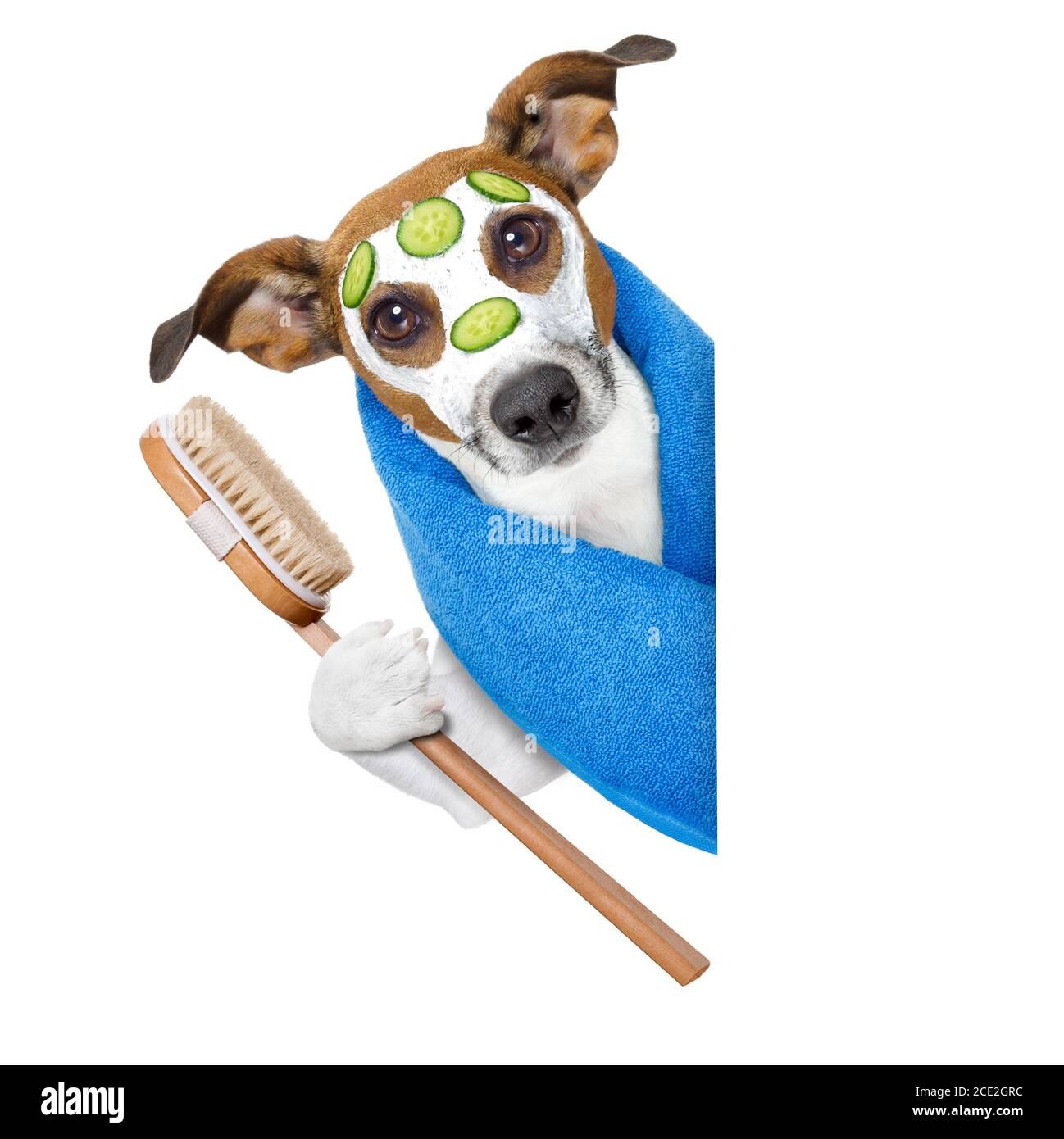 Dog beauty mask hi-res stock photography and images - Alamy