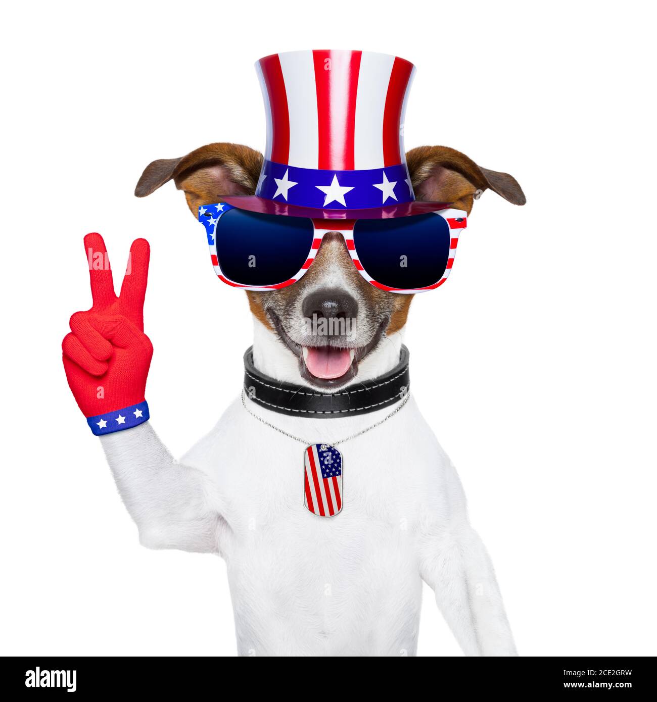 usa american dog Stock Photo - Alamy