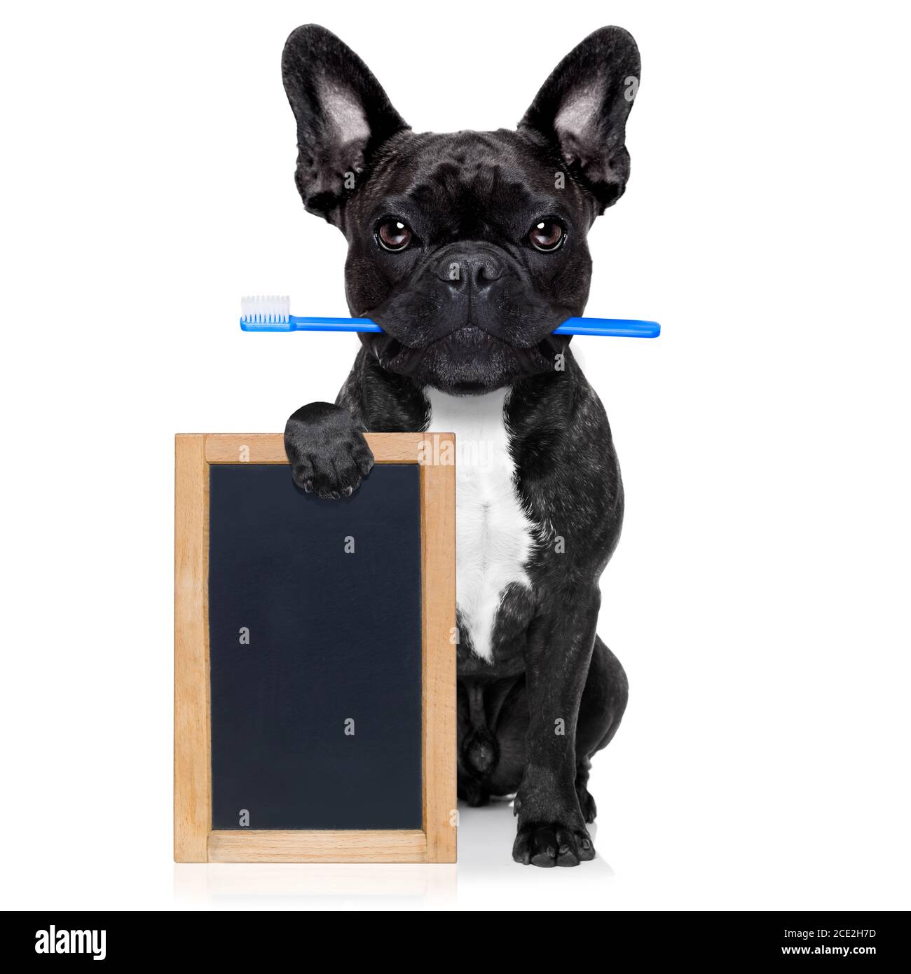 Teeth whitening Cut Out Stock Images & Pictures - Alamy