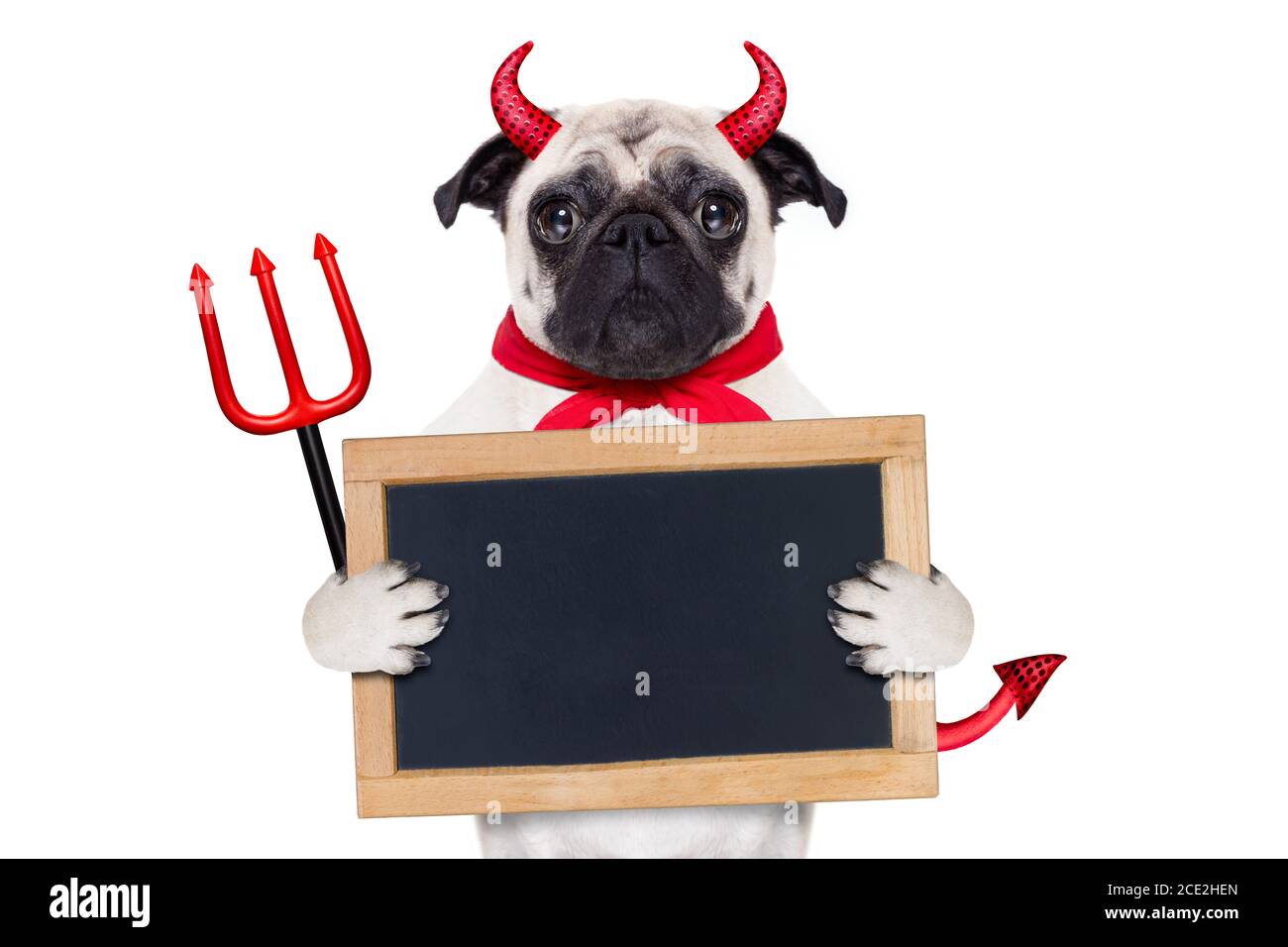 halloween devil dog Stock Photo - Alamy