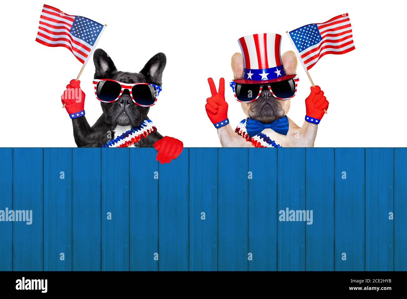 4th oh july row of dogs Stock Photo - Alamy