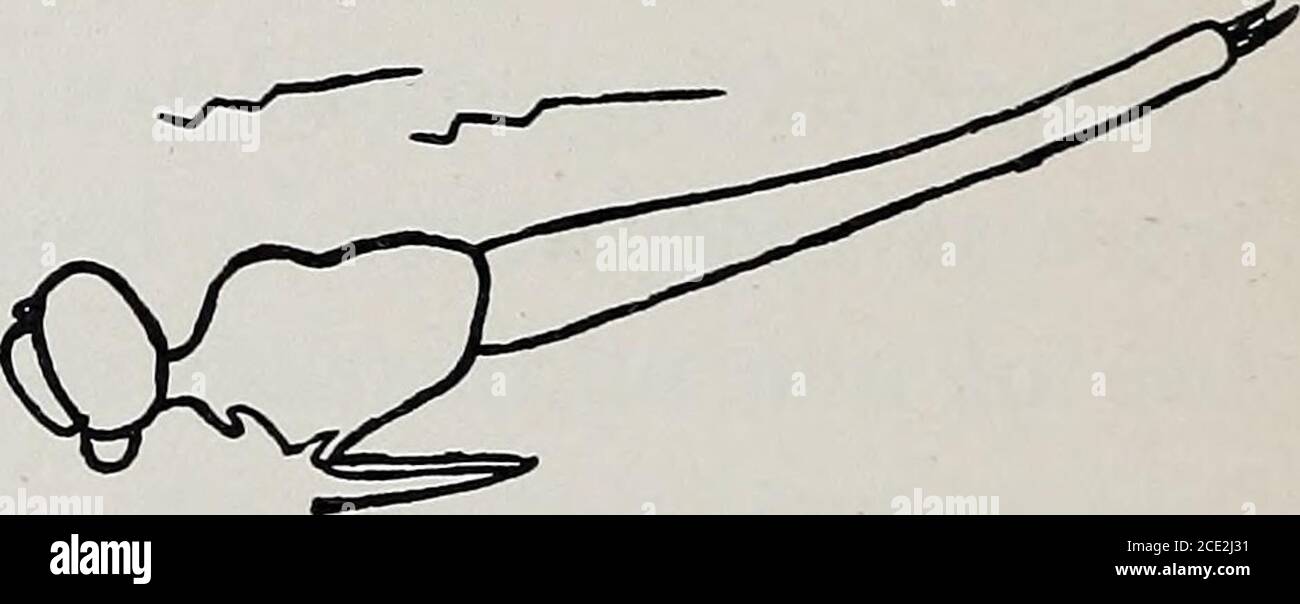 Flight path diagram hi-res stock photography and images - Alamy