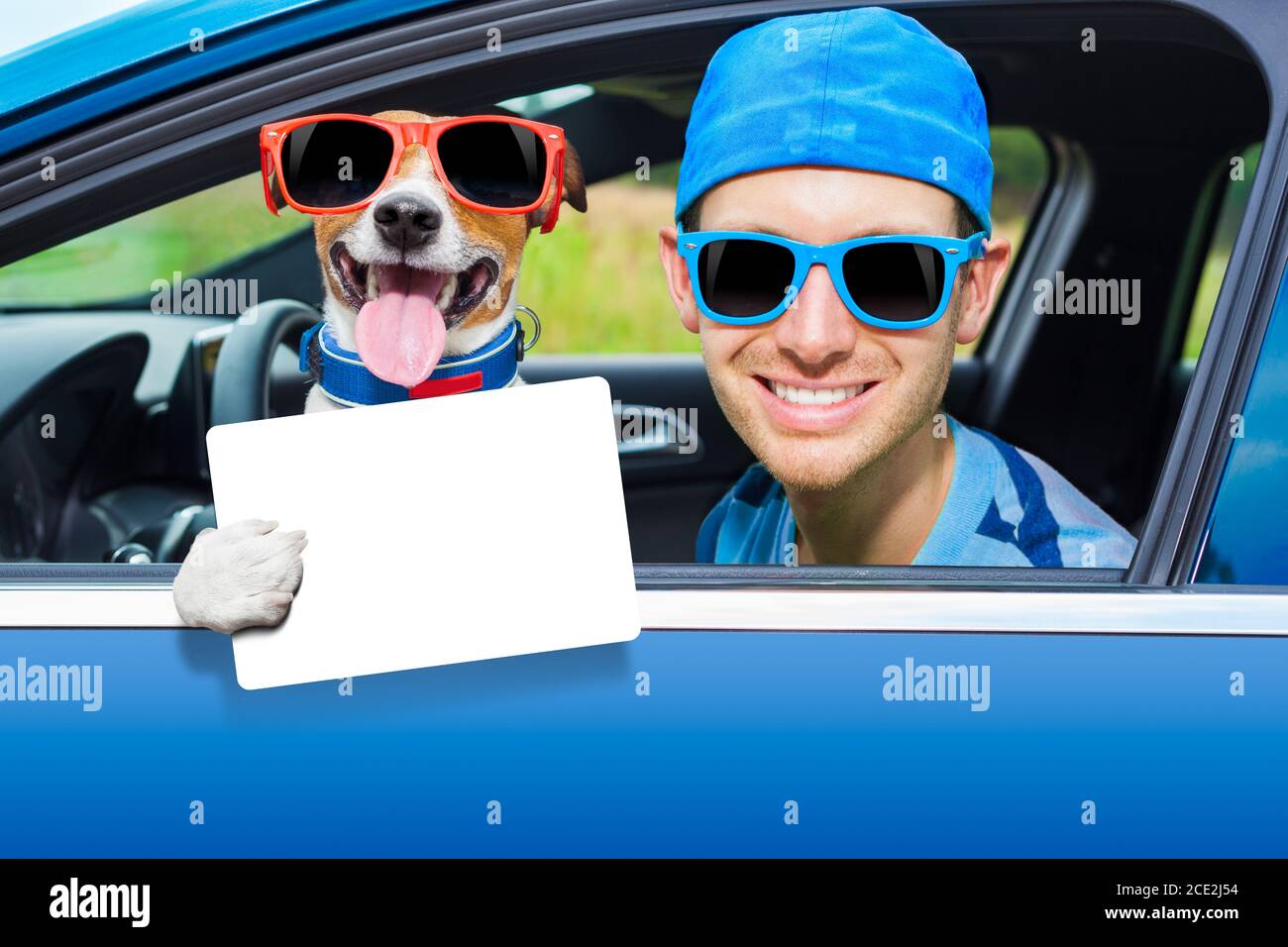 dog car window Stock Photo - Alamy