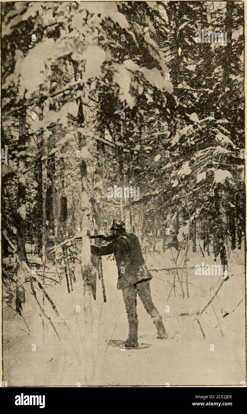 Udder delights hi-res stock photography and images - Alamy