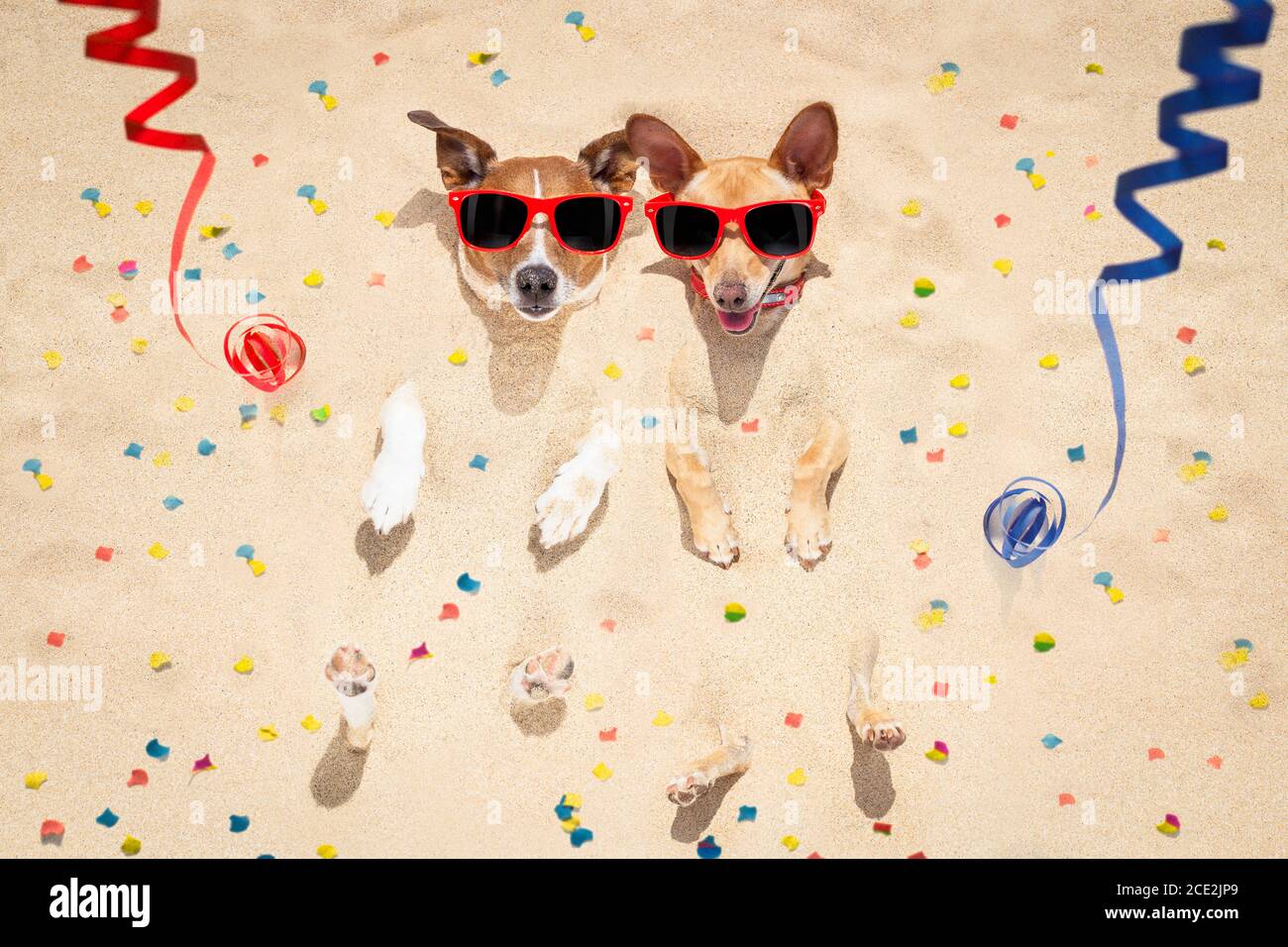 Dogs on new years hi-res stock photography and images - Alamy