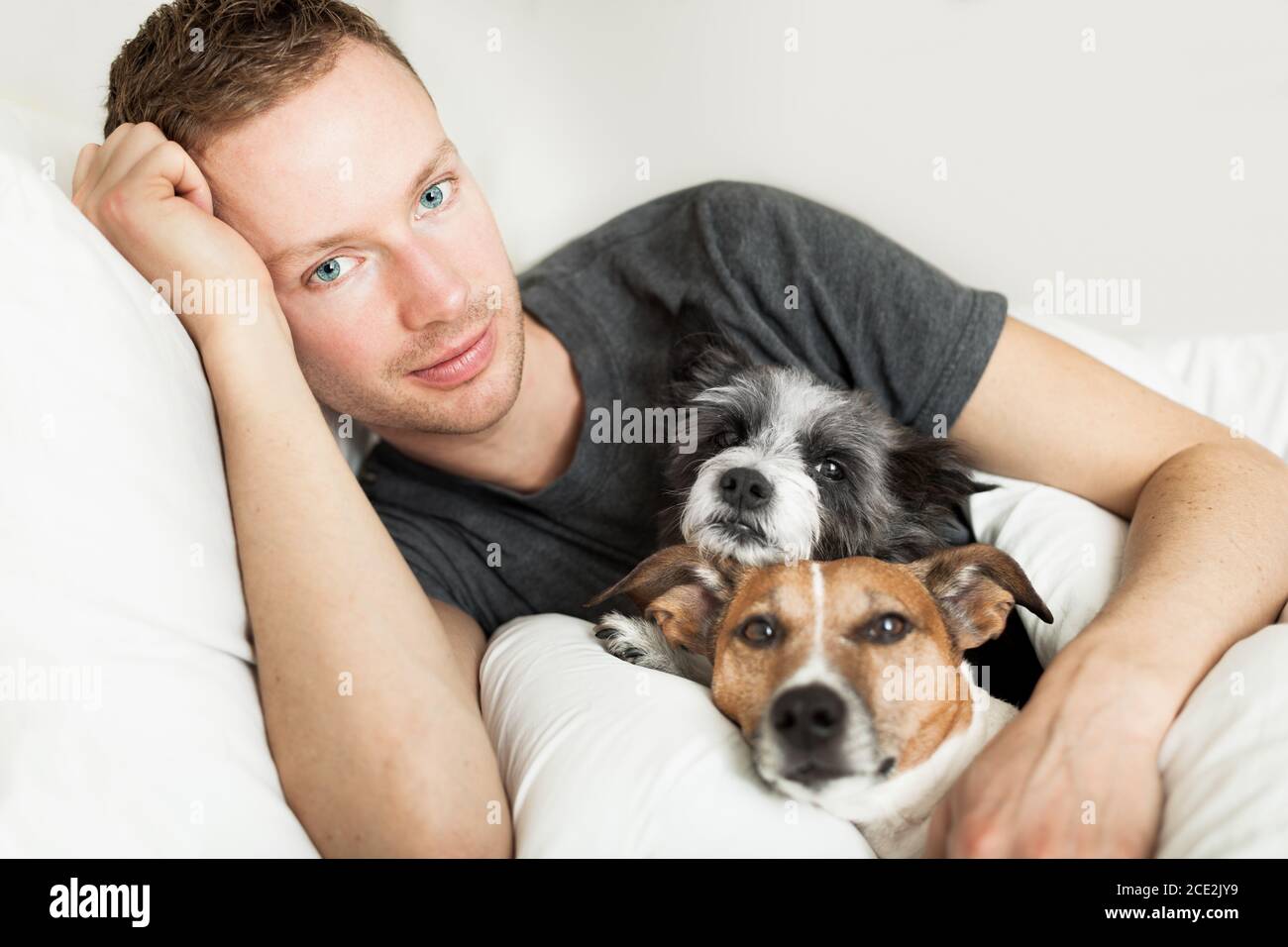 dog owner in bed Stock Photo - Alamy