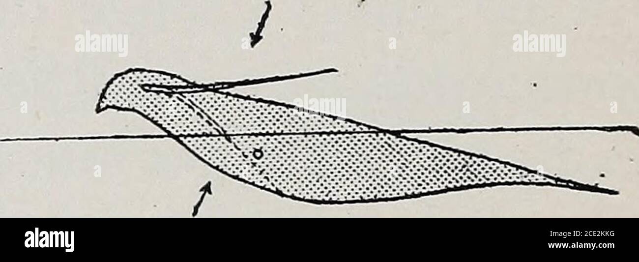 Swooping line hi-res stock photography and images - Alamy