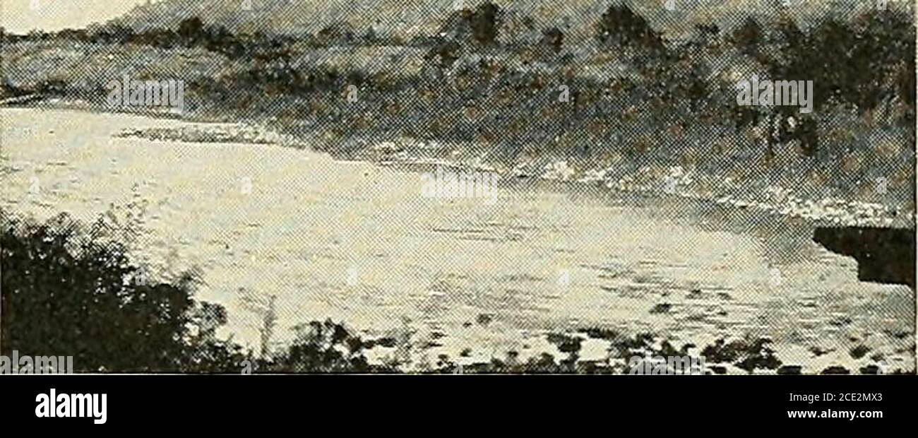 . Elementary physical geography . Fig. 241.Mt. Shasta on the left ...