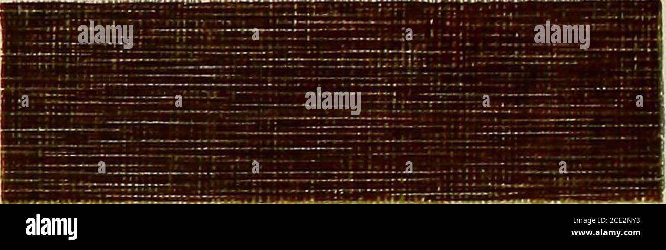 Kawista hi-res stock photography and images - Alamy