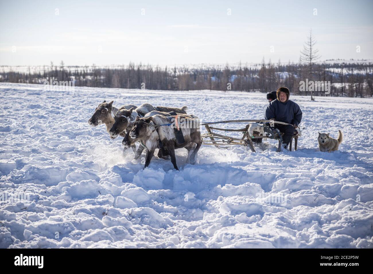 Three sledges High Resolution Stock Photography and Images - Alamy