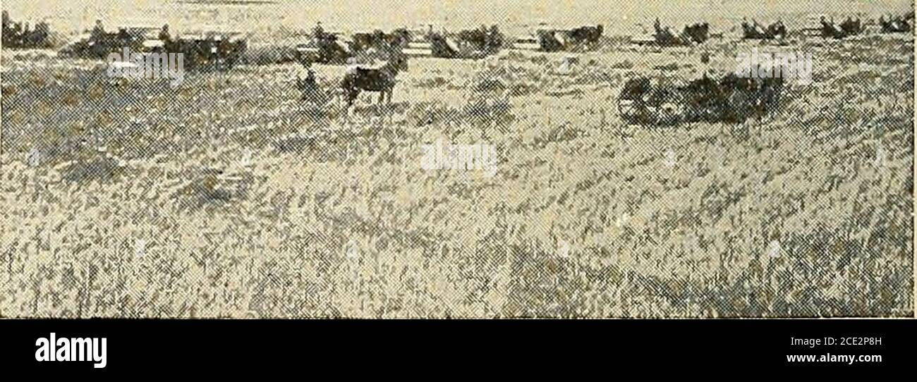 Mexico elevation geography hi-res stock photography and images - Alamy