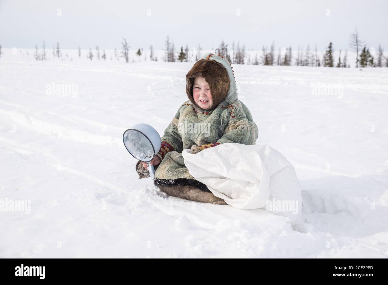 A young Nenet girl collecting snow with a pot to get water, Yamalo ...