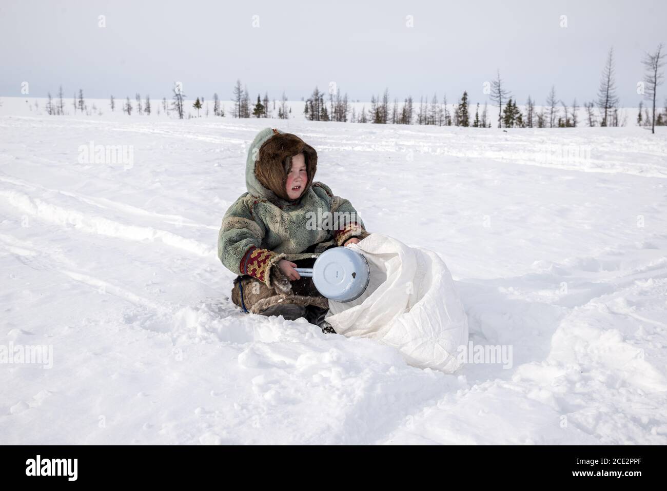 A young Nenet girl collecting snow with a pot to get water, Yamalo ...