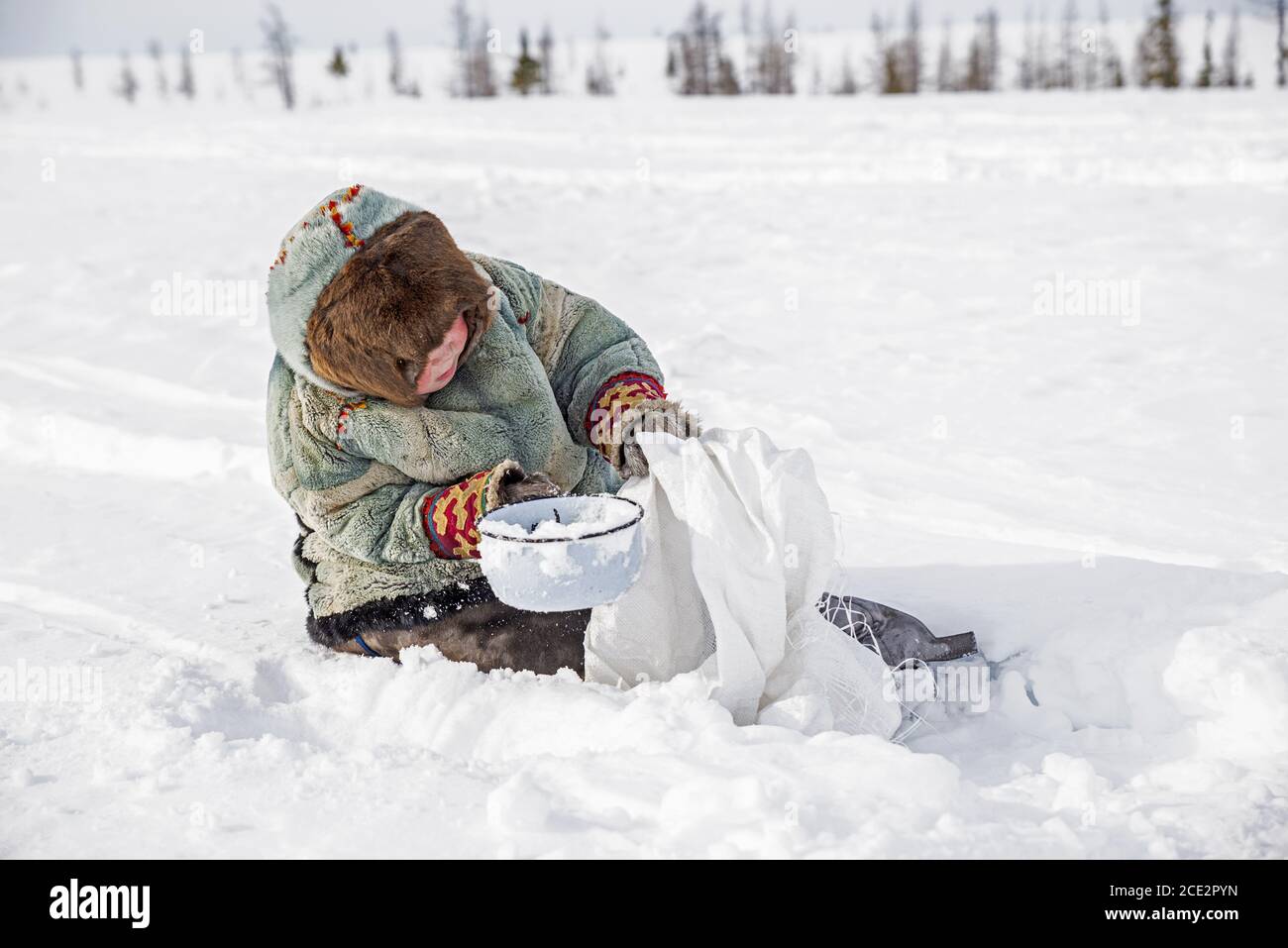 A young Nenet girl collecting snow with a pot to get water, Yamalo ...