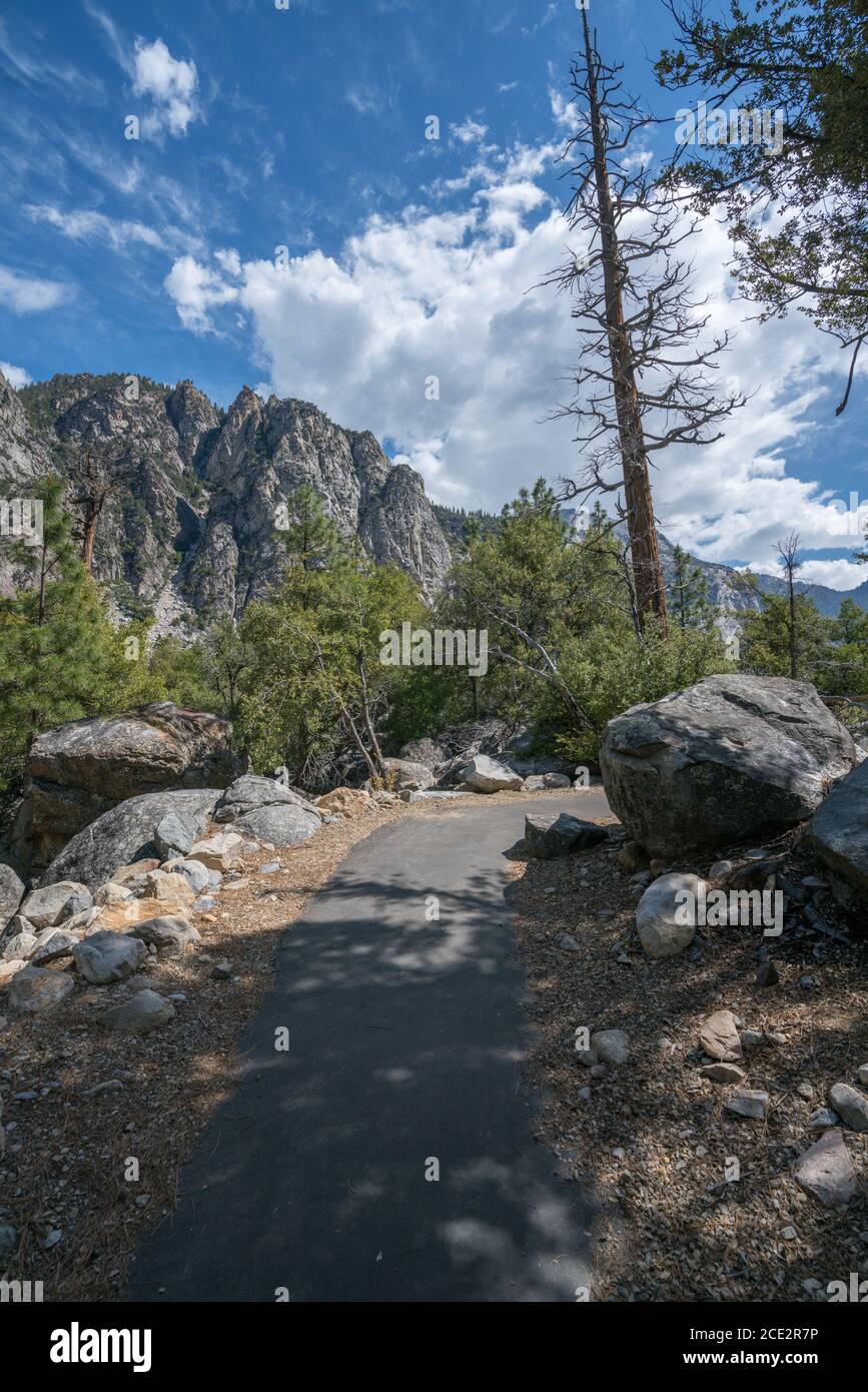 Kings meadow field hi-res stock photography and images - Alamy