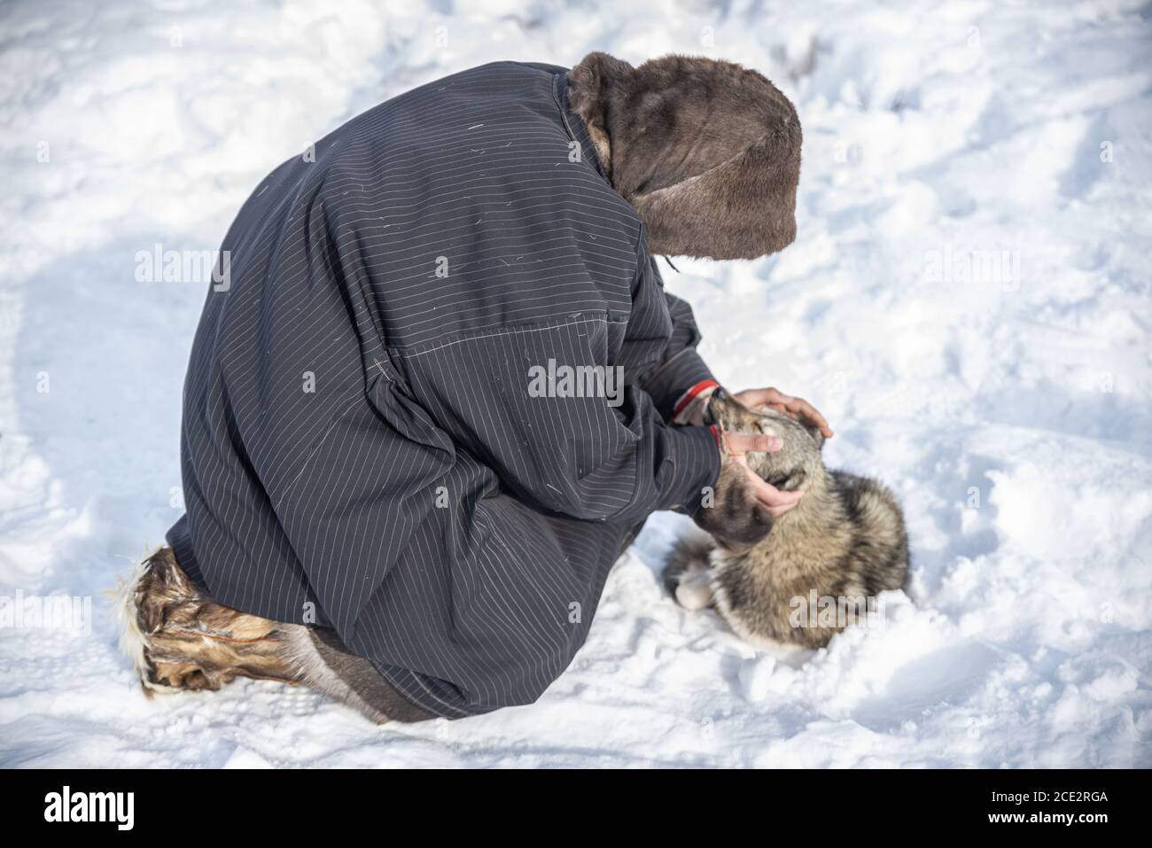 A Nenet with traditional wear cuddling his samoyed dog in the snow ...
