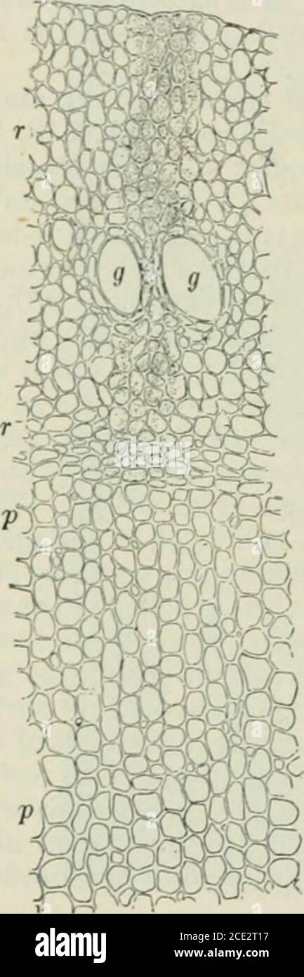 Bers rock hi-res stock photography and images - Alamy