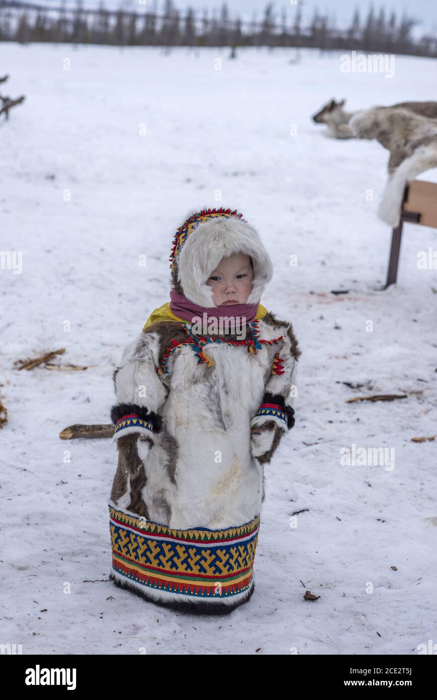 Child with samoyed hi-res stock photography and images - Alamy