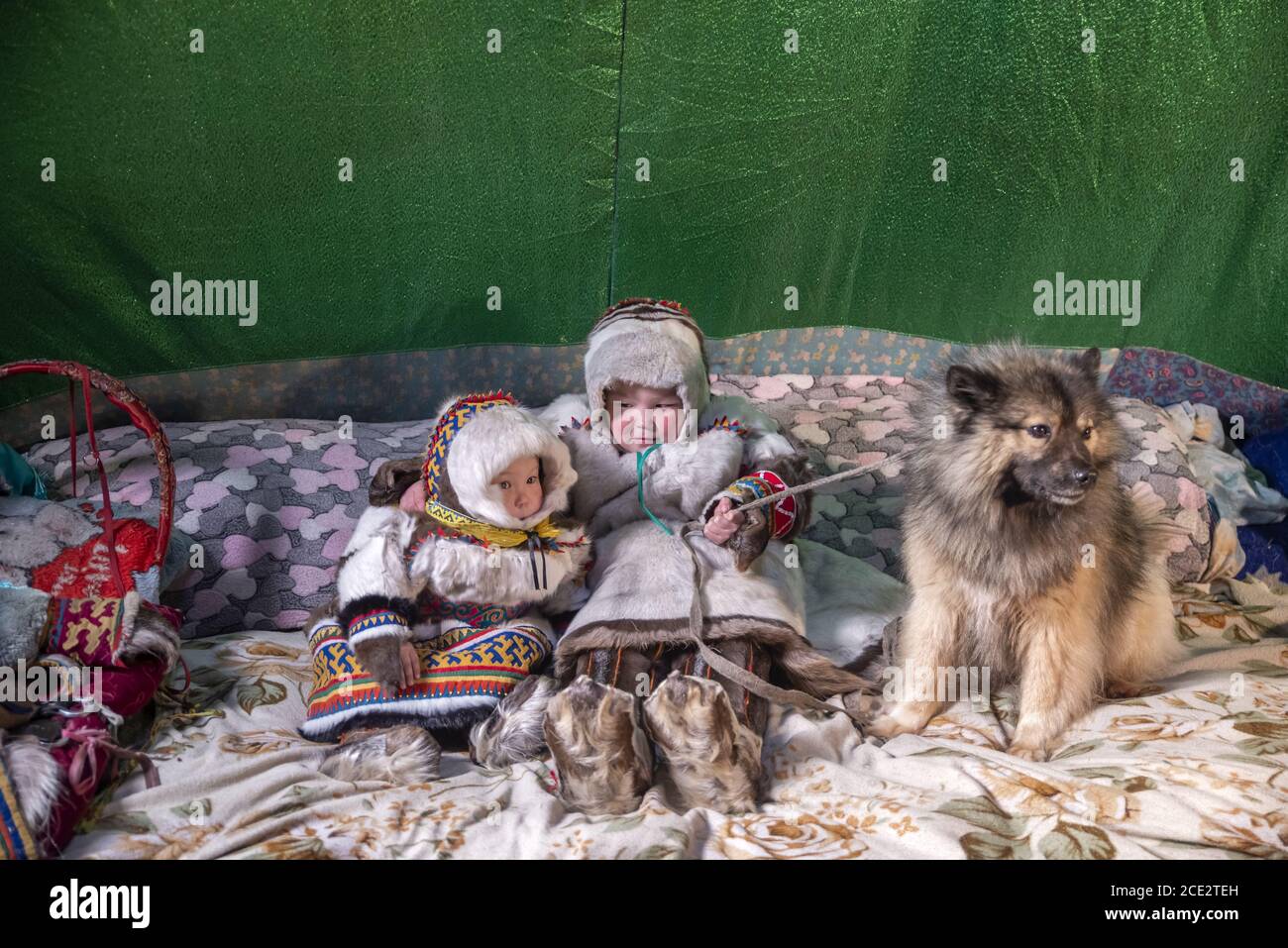 Two Nenets childs in traditional wear with a samoyed dog inside a chum ...