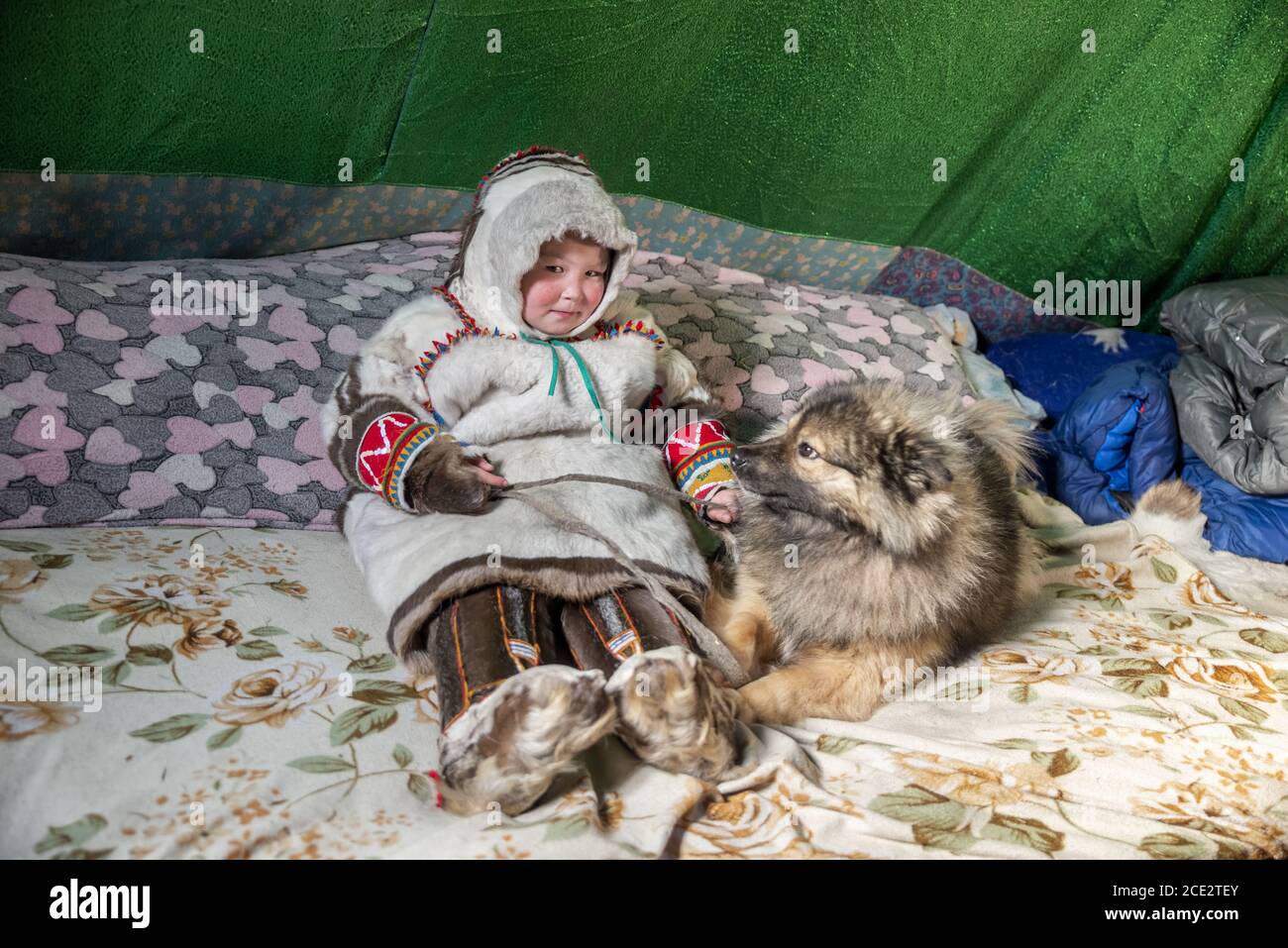 A Nenet young girl in traditional wear with dog inside a chum (tent ...