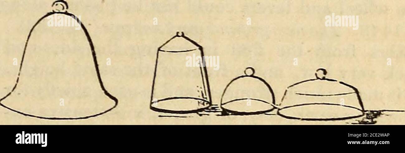 Bell shaped bottle hi-res stock photography and images - Alamy