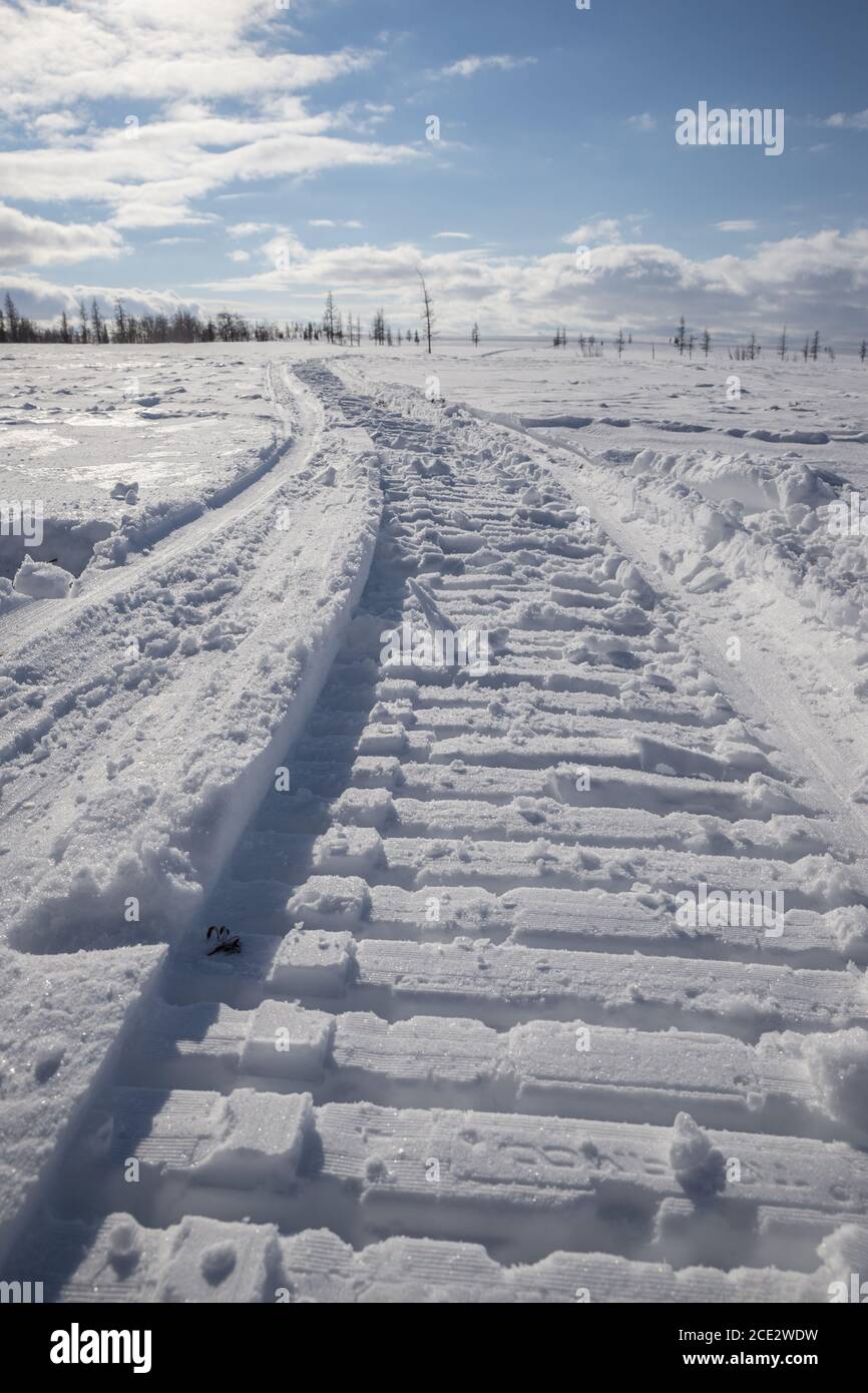 Snowmobile tracks in a snowy tundra landscape, Yamalo-Nenets Autonomous ...
