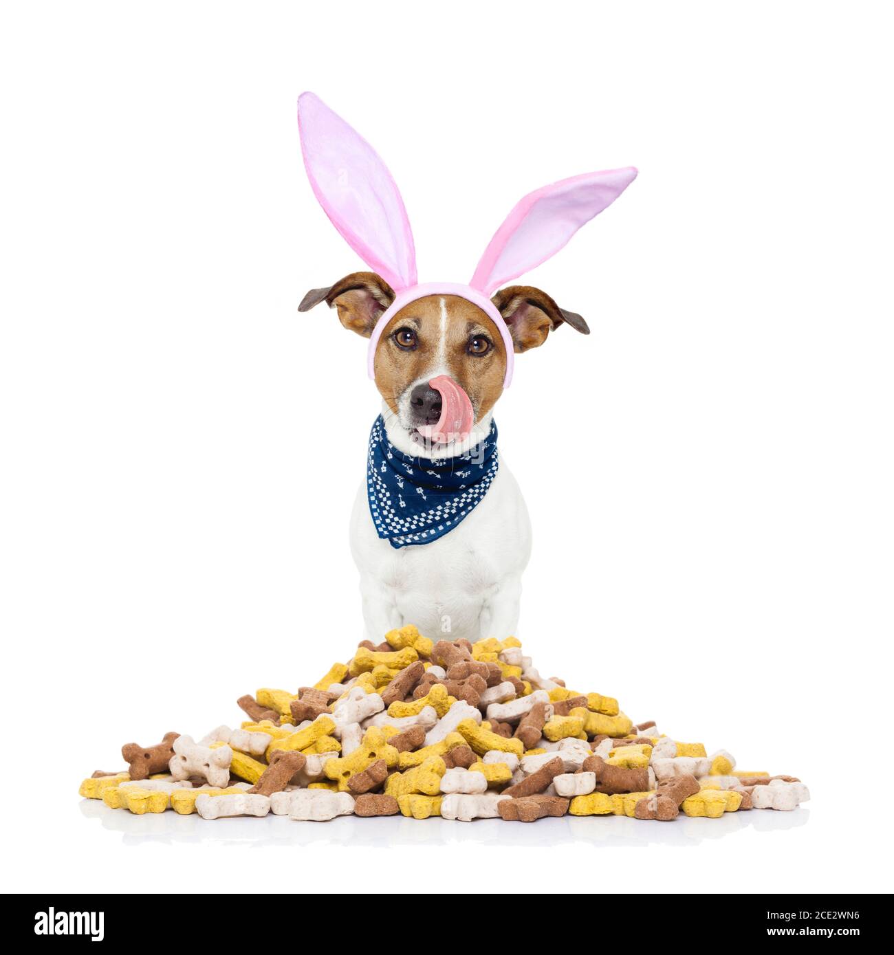 Hungry bunny hi-res stock photography and images - Alamy