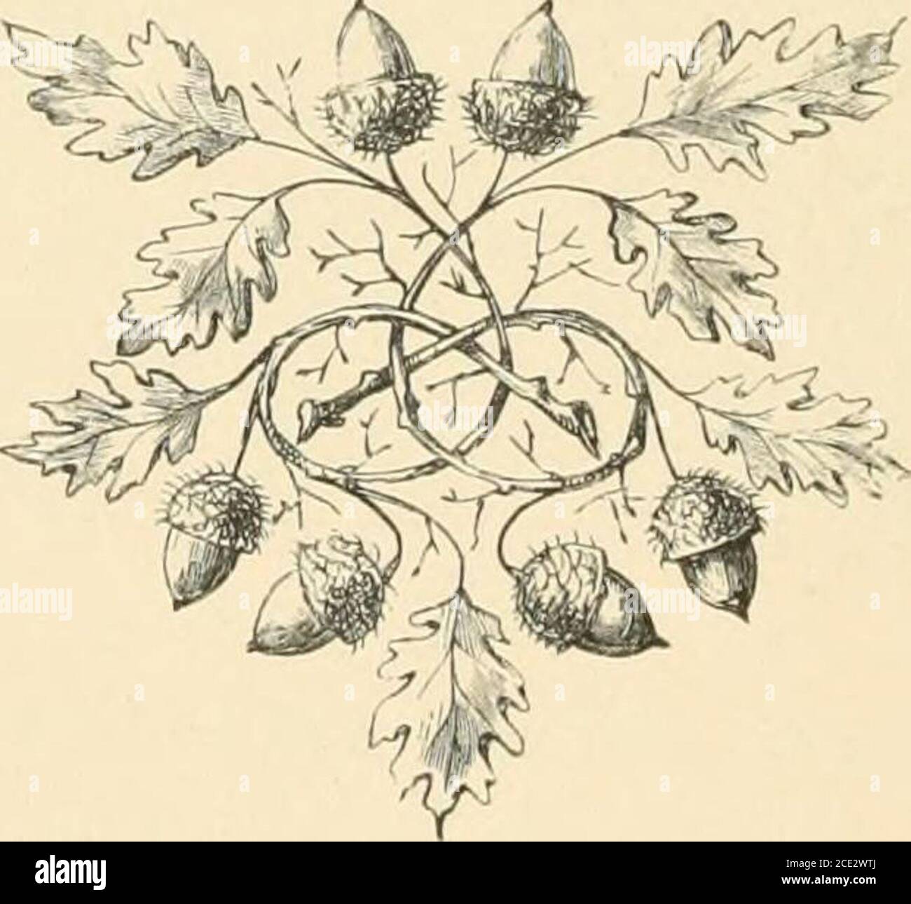 Auld nick hi-res stock photography and images - Alamy