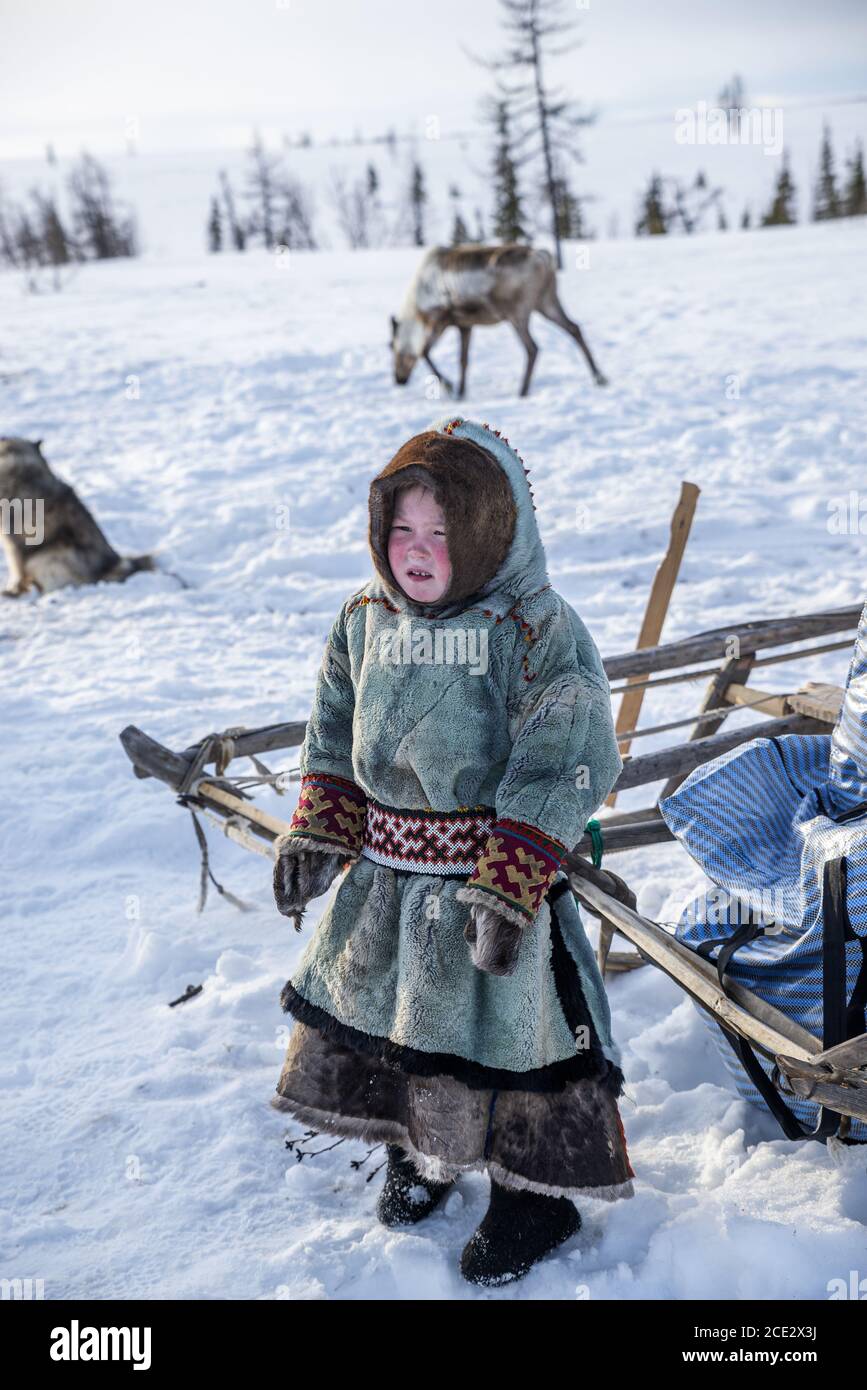 A young Nenet girl in traditional wear playing with a wooden sled ...