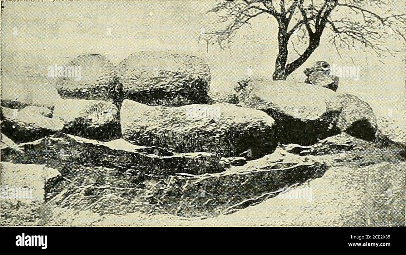 Chemical weathering on rocks hi-res stock photography and images - Alamy