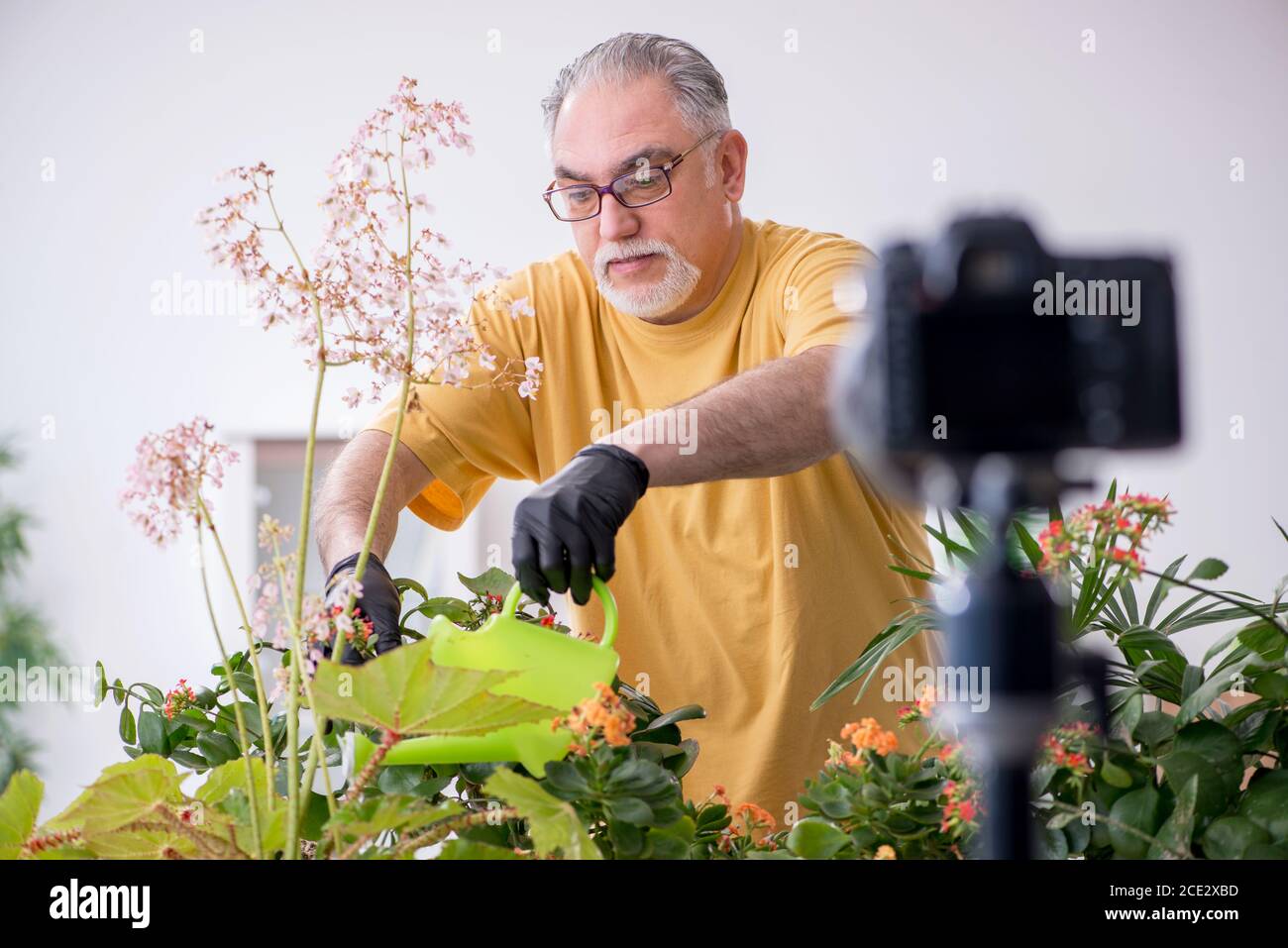 Male gardener presenting plant camera hi-res stock photography and ...