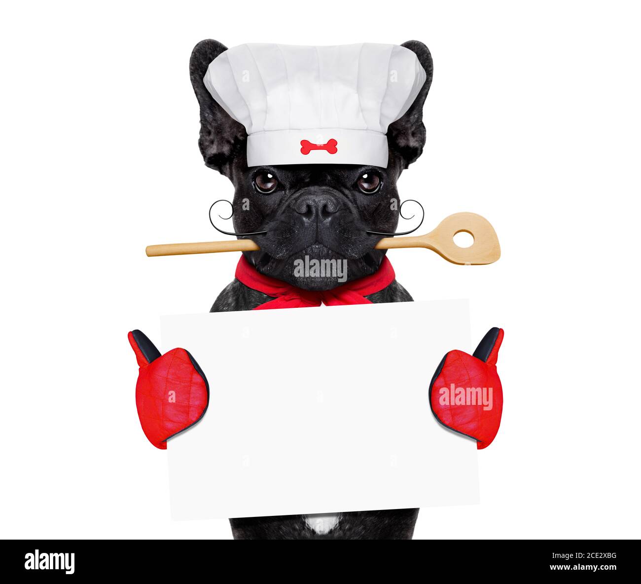 chef cook dog Stock Photo - Alamy