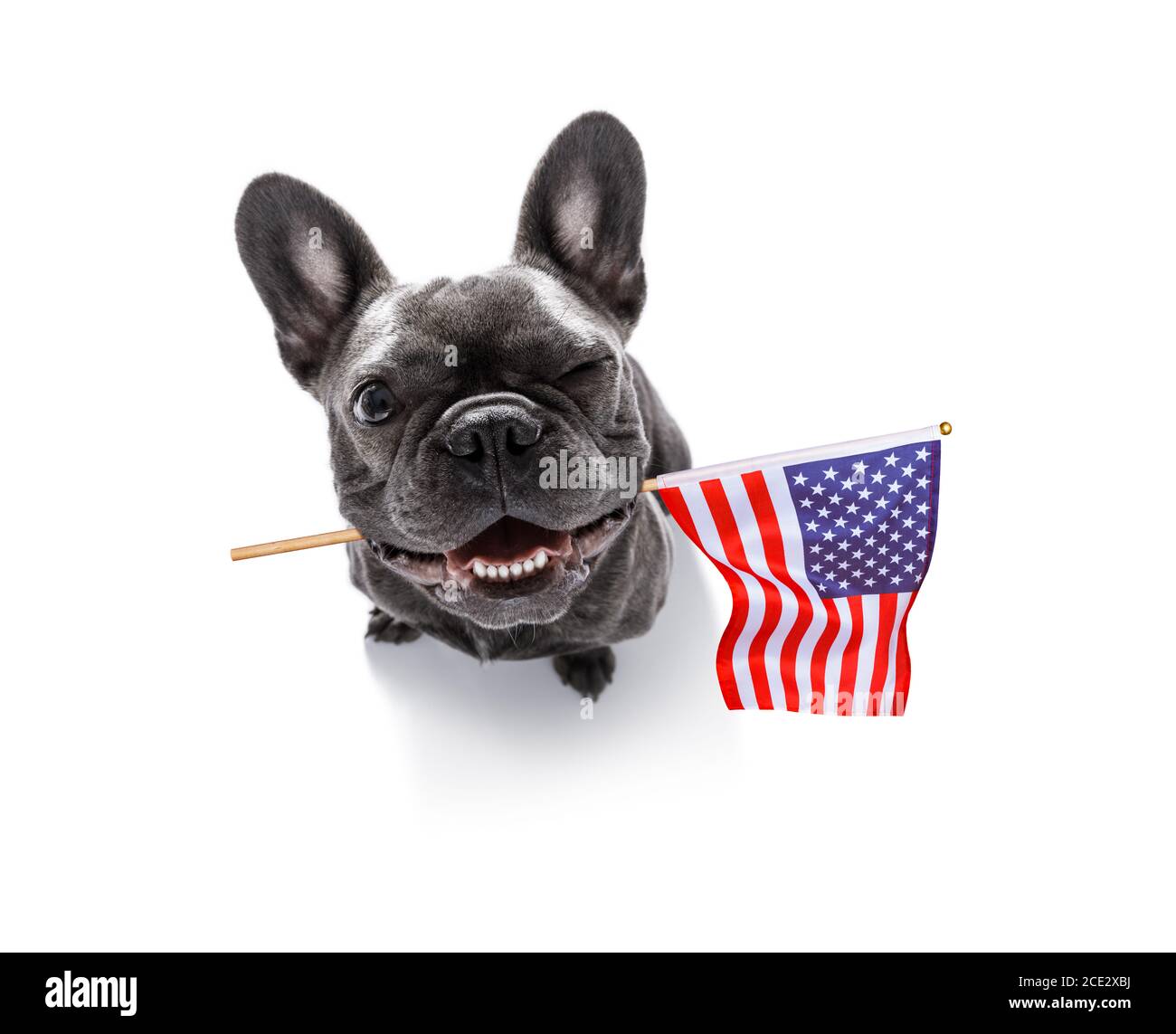 French memorial day Cut Out Stock Images & Pictures - Alamy