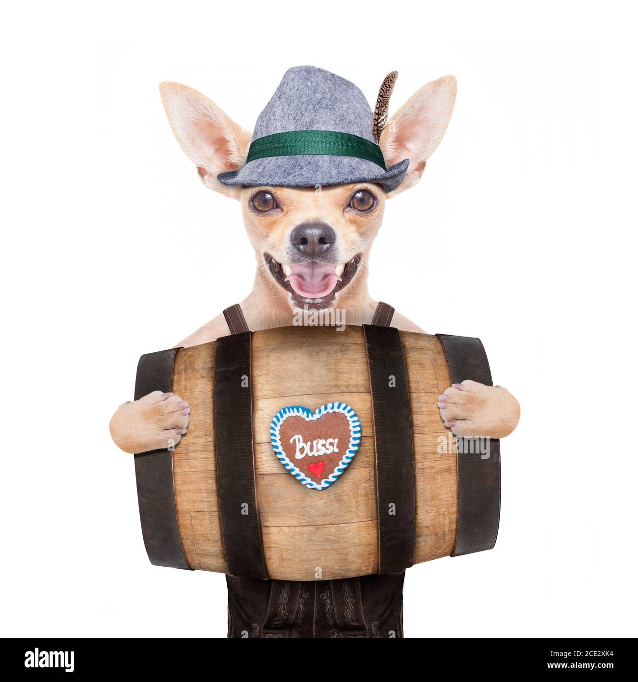 bavarian beer dog Stock Photo - Alamy