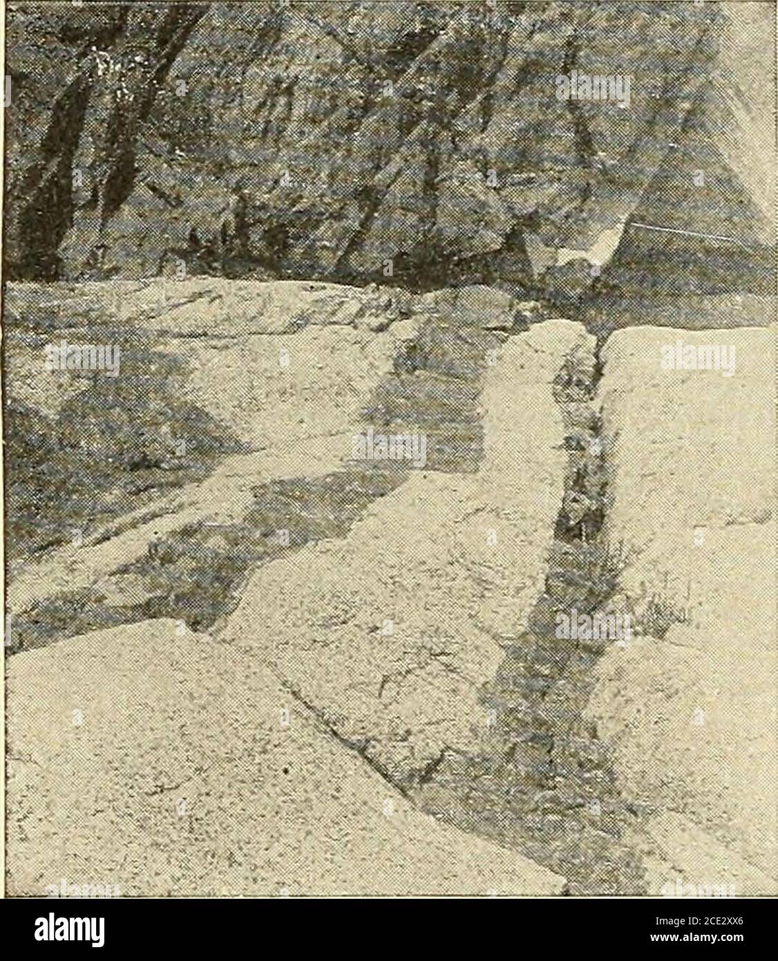 The roots of old volcanoes hi-res stock photography and images - Alamy