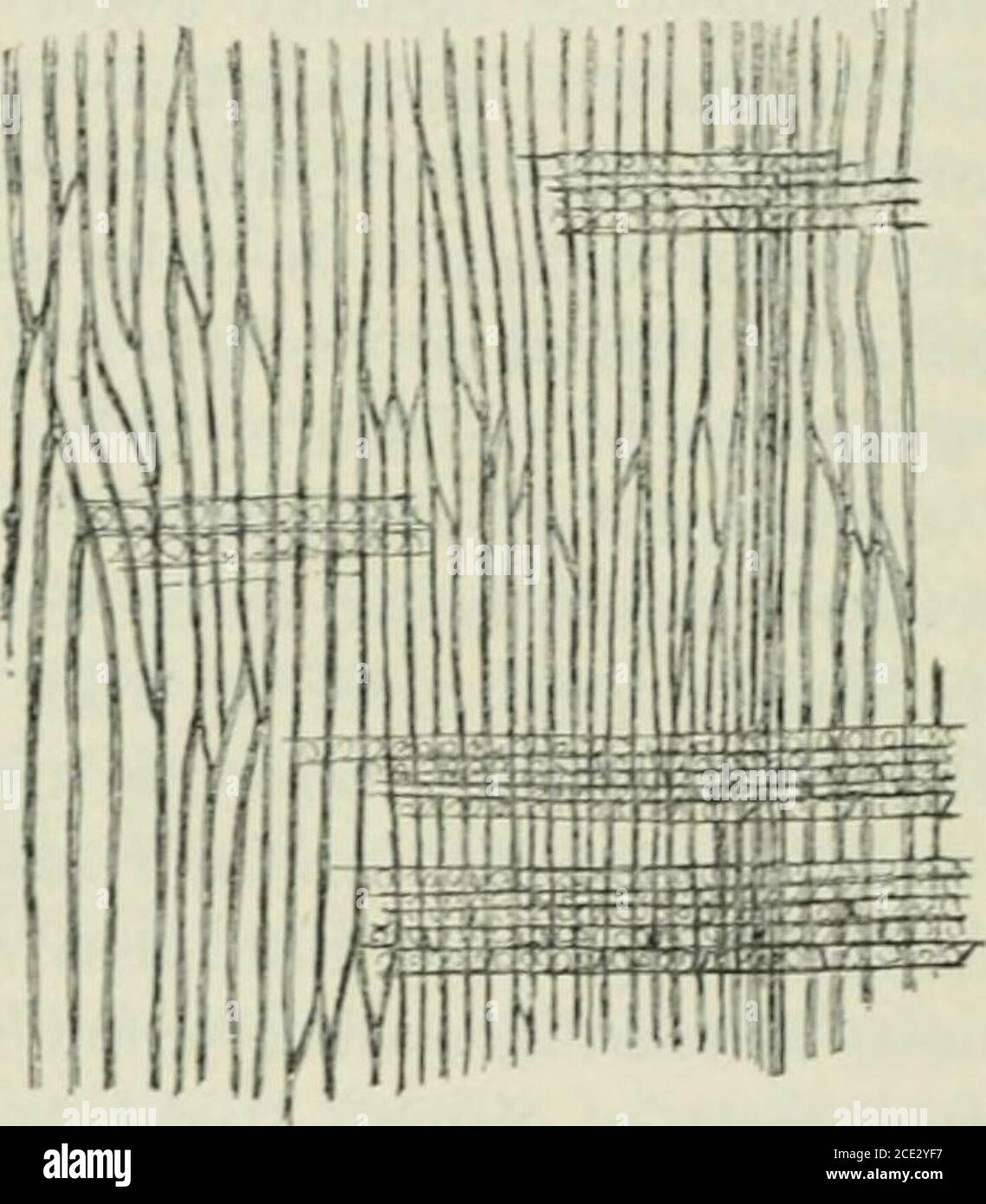 Splintery wood hi-res stock photography and images - Alamy