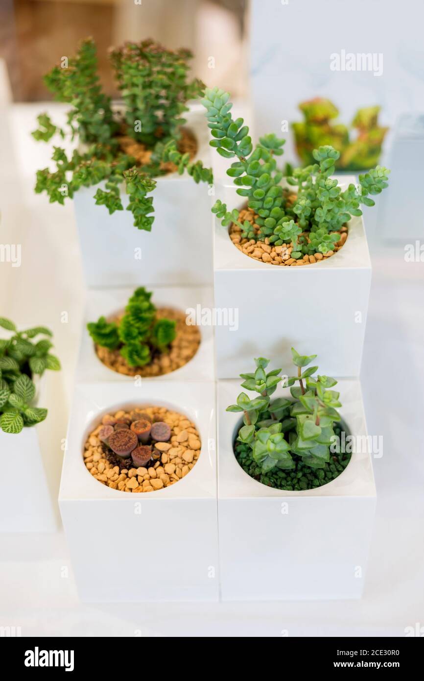 Cubic pots hi-res stock photography and images - Alamy