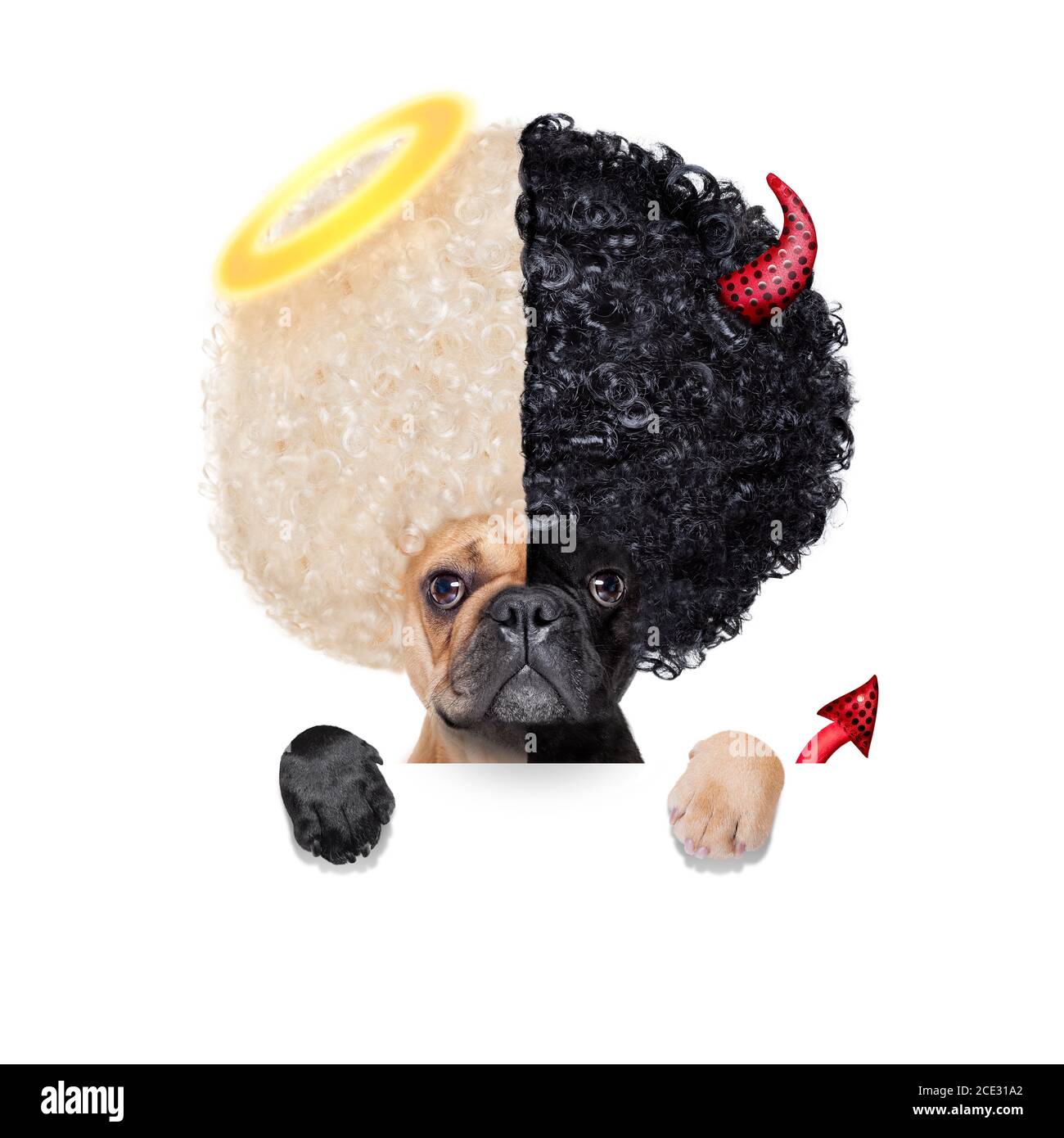 good and bad dog Stock Photo - Alamy