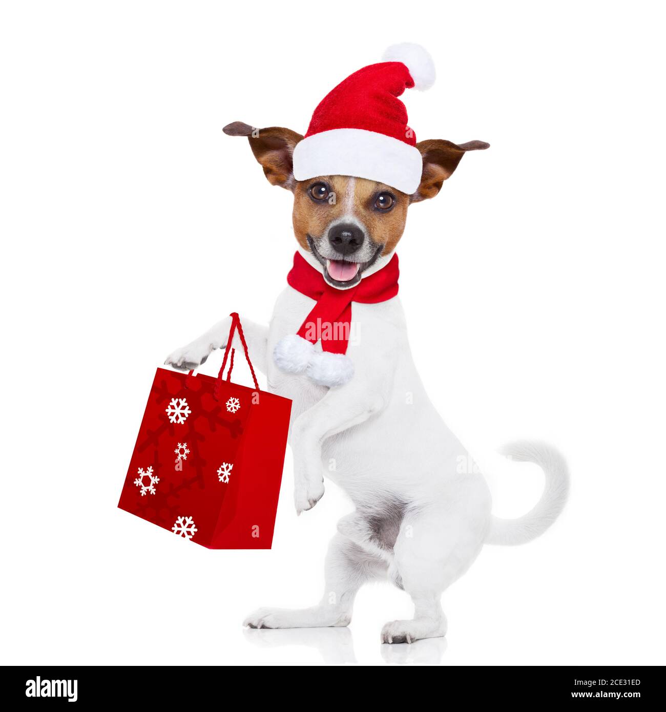 christmas santa dog Stock Photo - Alamy