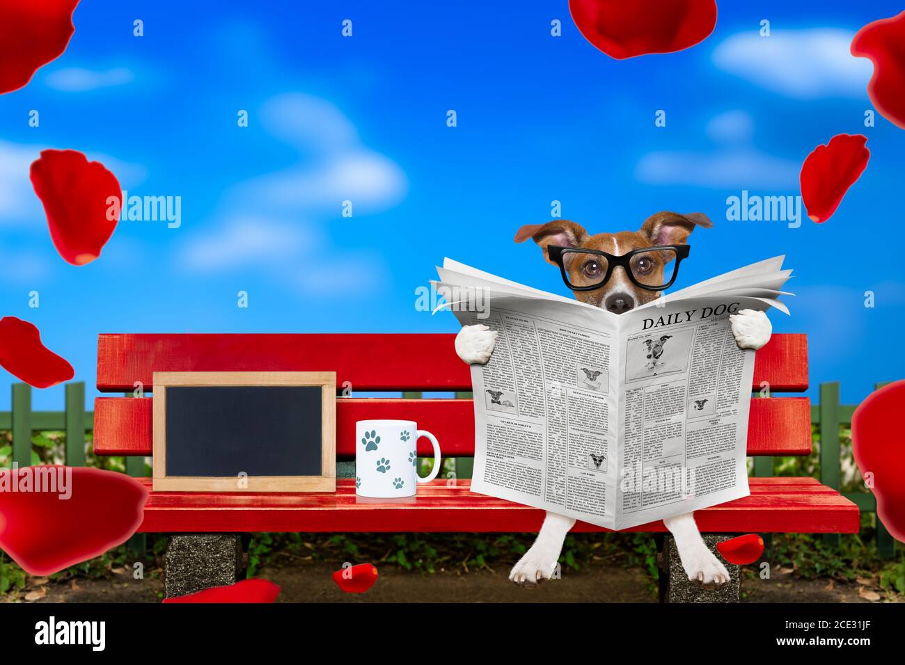 dog reading newspaper Stock Photo - Alamy